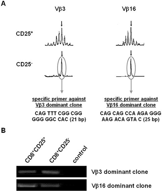CD25-Expressing CD8+ T Cells Are Potent Memory Cells in Old Age1 | The ...