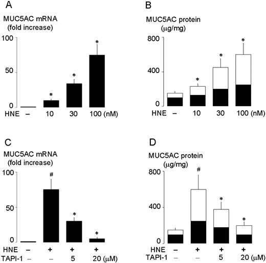 Neutrophil Elastase Induces MUC5AC Mucin Production in Human Airway ...