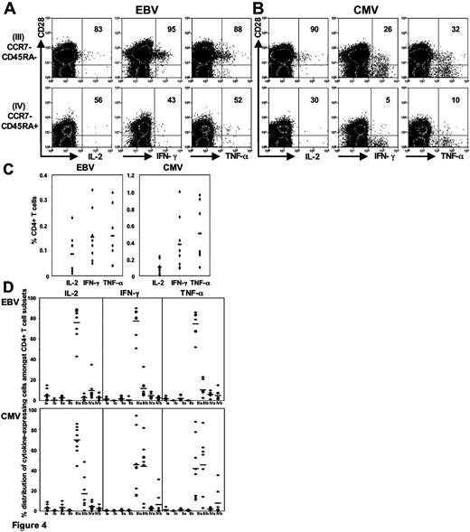 Human Cd4 T Cells Are Predominantly Distributed Among Six