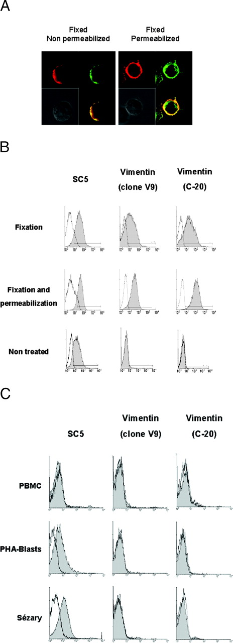 SC5 mAb Represents a Unique Tool for the Detection of Extracellular ...