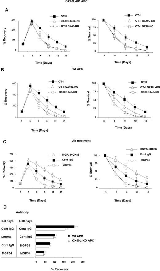 OX40-OX40 Ligand Interaction through T Cell-T Cell Contact Contributes ...