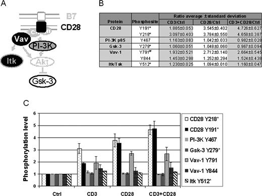 Quantitative Analysis of Phosphotyrosine Signaling Networks Triggered ...