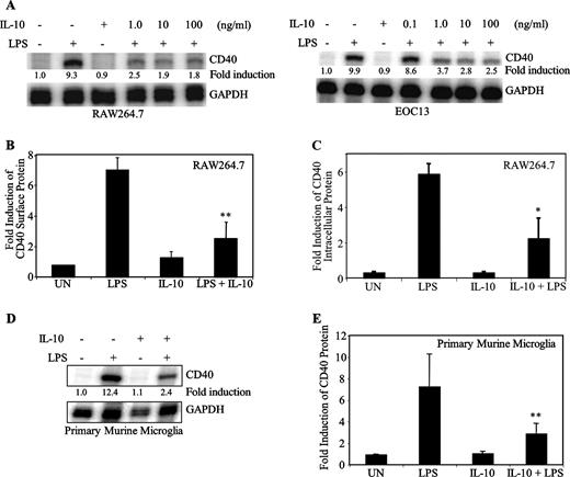 IL-10 Inhibits Lipopolysaccharide-Induced CD40 Gene Expression through ...