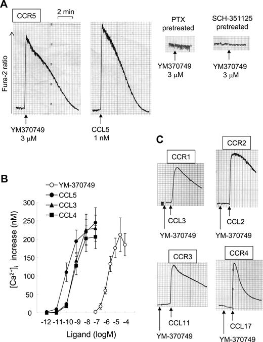 Structural Basis For The Interaction Of Ccr5 With A Small Molecule
