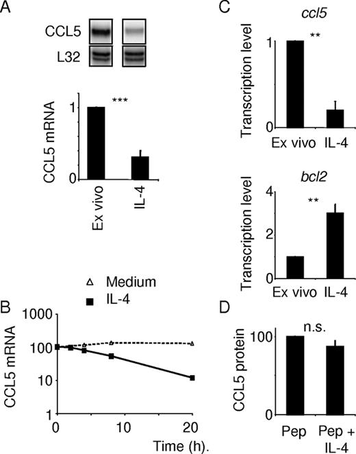 Cell-Autonomous CCL5 Transcription by Memory CD8 T Cells Is Regulated ...