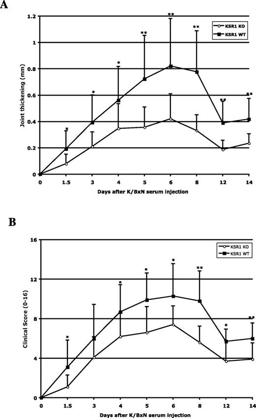 The MAPK Scaffold Kinase Suppressor of Ras Is Involved in ERK ... The MAPK Scaffold Kinase Suppressor of Ras Is Involved in ERK ...