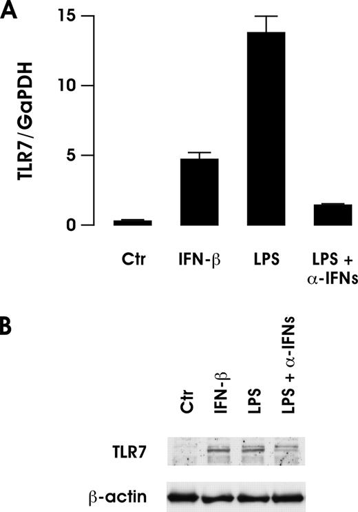 Sensitization to TLR7 Agonist in IFN-β-Preactivated Dendritic Cells1 ...