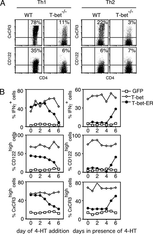 Temporal Dissection of T-bet Functions1 | The Journal of Immunology ...