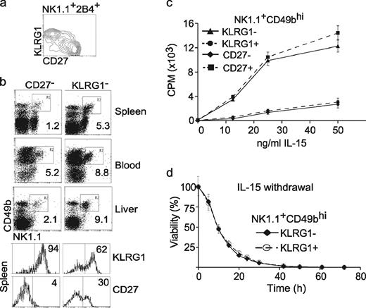 NK Cell Maturation and Peripheral Homeostasis Is Associated with KLRG1 ...