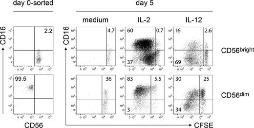 CD56brightCD16− Killer Ig-Like Receptor− NK Cells Display Longer ...