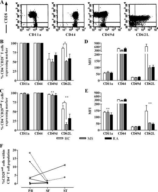 CD4+CD28null T Cells in Autoimmune Disease: Pathogenic Features and ...