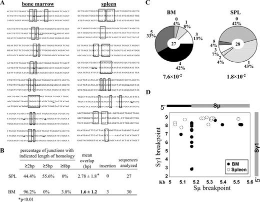 Spontaneous Class Switch Recombination In B Cell Lymphopoiesis