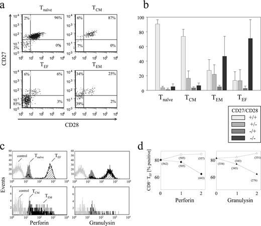 Clonal Expansion of CD8+ Effector T Cells in Childhood Tuberculosis1 ...