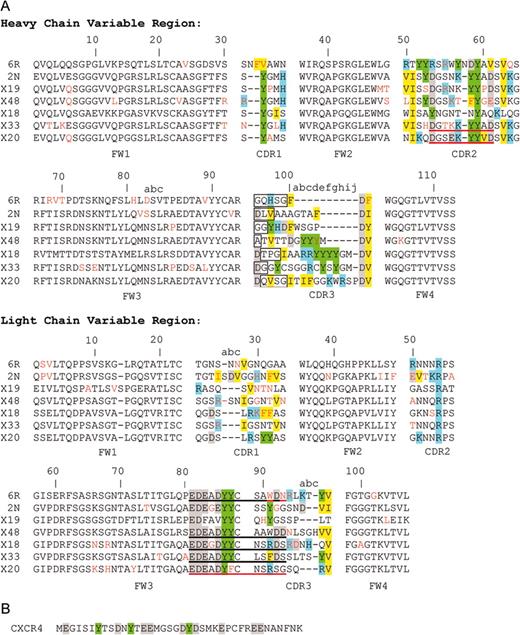 Human Anti-CXCR4 Antibodies Undergo VH Replacement, Exhibit Functional ...