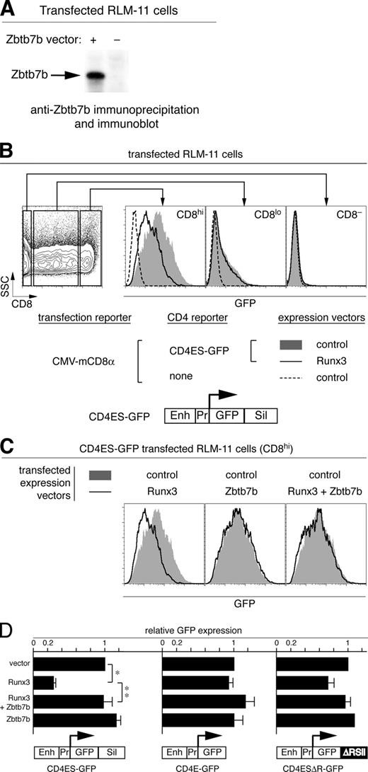 The Transcription Factor Zbtb7b Promotes Cd4 Expression By Antagonizing