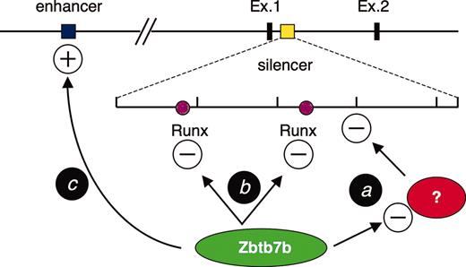 The Transcription Factor Zbtb7b Promotes Cd4 Expression By Antagonizing