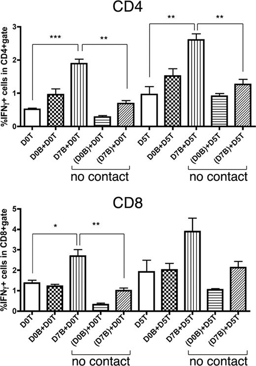 B Cells Amplify Ifn γ Production By T Cells Via A Tnf α Mediated