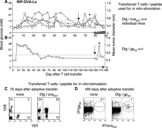 Dual T Cell Receptor Expressing CD8+ T Cells with Tumor- and Self ...