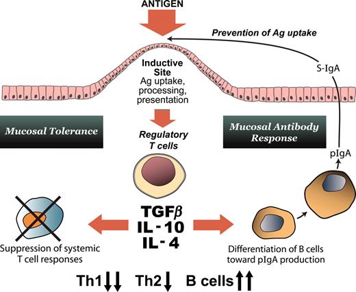 Perspectives on Mucosal Vaccines: Is Mucosal Tolerance a Barrier?1 ... Perspectives on Mucosal Vaccines: Is Mucosal Tolerance a Barrier?1 ...