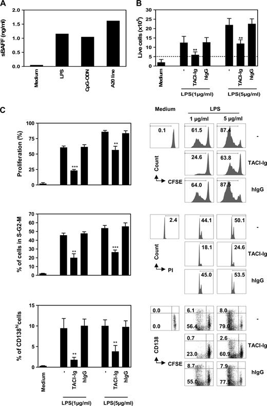 In Vitro and In Vivo Activation Induces BAFF and APRIL Expression in B ...