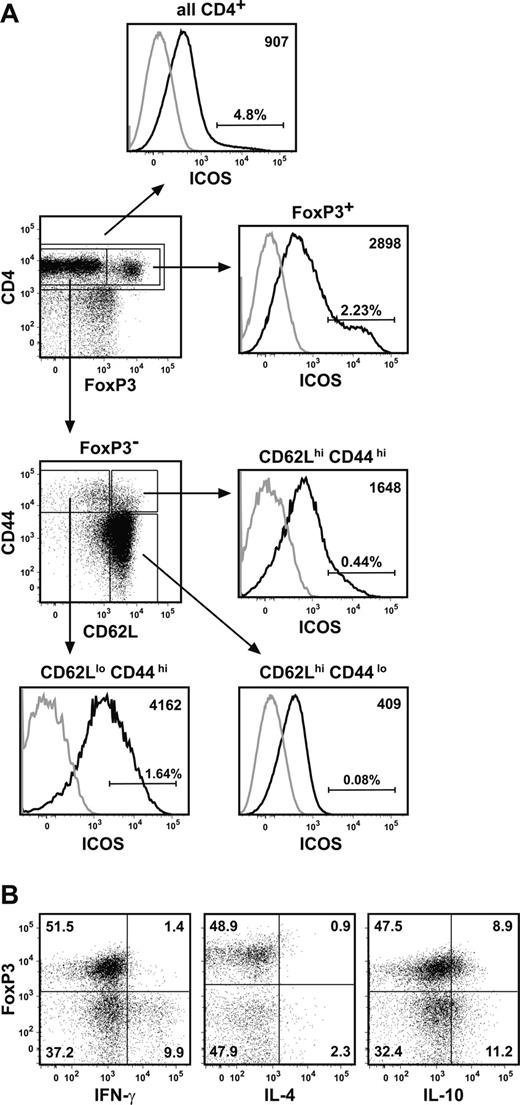ICOS Controls the Pool Size of Effector-Memory and Regulatory T Cells1 ...