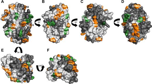Three Dimensional Structure Of The Cross Reactive Pollen Allergen Che A 3 Visualizing Cross