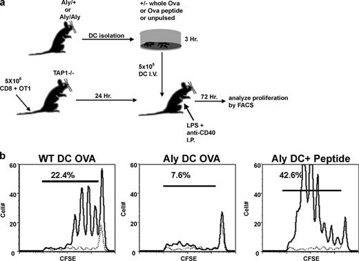 Dendritic Cells Require the NF-κB2 Pathway for Cross-Presentation of ...