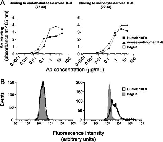 IL-8 as Antibody Therapeutic Target in Inflammatory Diseases: Reduction ...