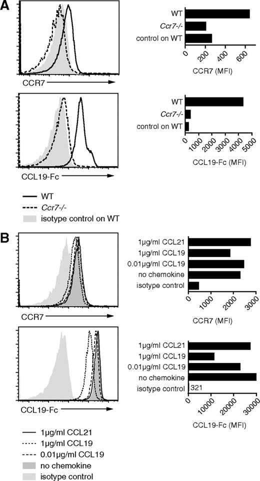 Dynamic Modulation of CCR7 Expression and Function on Naive T ...