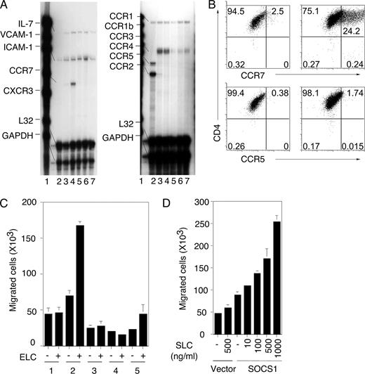 SOCS1 Regulates CCR7 Expression and Migration of CD4+ T Cells into ...