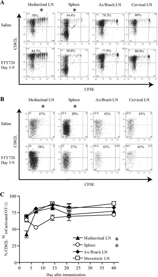 Activated Cd8 T Cells Redistribute To Antigen Free Lymph Nodes And