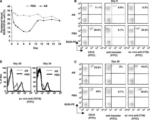 B Cell Depletion with Anti-CD79 mAbs Ameliorates Autoimmune Disease in ...