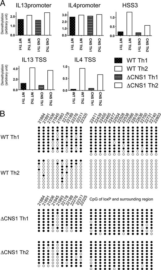 Regulation Of Dna Demethylation During Maturation Of Cd4 Naive T Cells