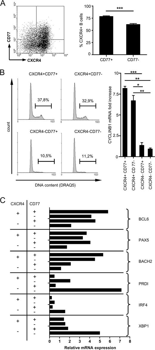CXCR4 Expression Functionally Discriminates Centroblasts versus ...