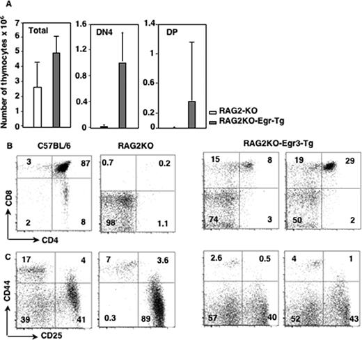Pre Tcr Induced β Catenin Facilitates Traversal Through β Selection1