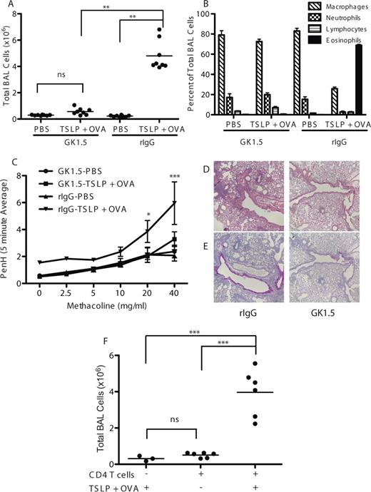 TSLP Conditions the Lung Immune Environment for the Generation of ...