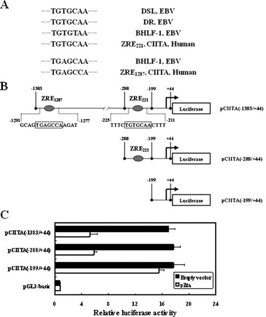 Down-Regulation of MHC Class II Expression through Inhibition of CIITA ...