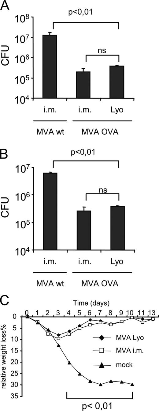 Cutting Edge: Mucosal Application of a Lyophilized Viral Vector Vaccine ...