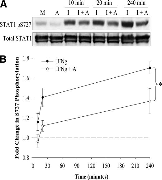 Adenosine Blocks Ifn γ Induced Phosphorylation Of Stat1 On Serine 727