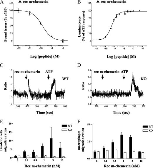 Mouse ChemR23 Is Expressed in Dendritic Cell Subsets and Macrophages ...