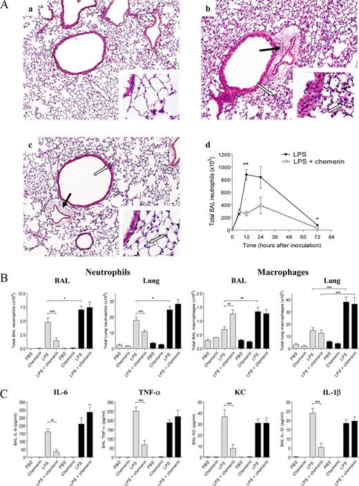 Mouse ChemR23 Is Expressed in Dendritic Cell Subsets and Macrophages ...