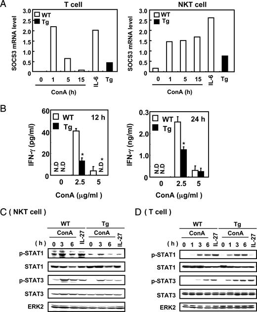 SOCS3 in T and NKT Cells Negatively Regulates Cytokine Production and ...