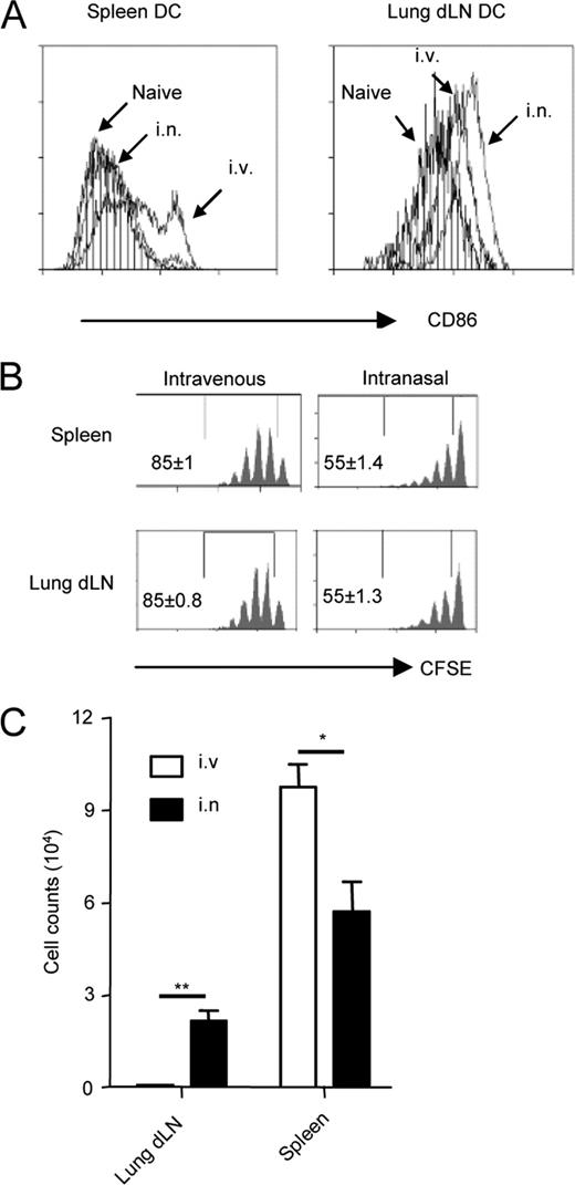 Dendritic Cells Matured by Inflammation Induce CD86-Dependent Priming ...