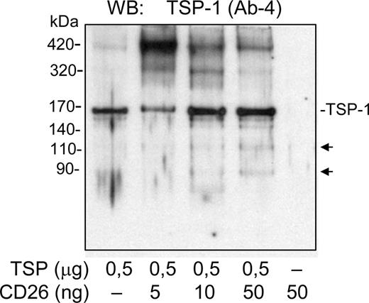 A CD26-Controlled Cell Surface Cascade for Regulation of T Cell ...