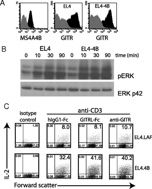 MS4A4B Is a GITR-Associated Membrane Adapter, Expressed by Regulatory T ...