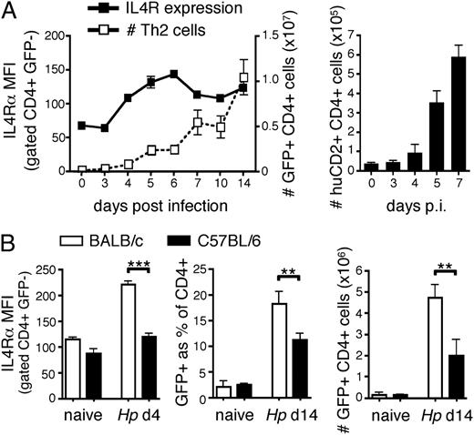 Differential Regulation of IL-4Rα Expression by Antigen versus Cytokine ...