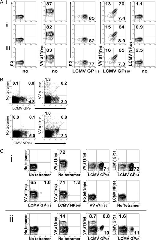 Cd8 T Cell Cross Reactivity Networks Mediate Heterologous Immunity In