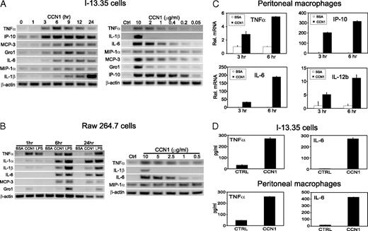 Matricellular Protein CCN1 Activates a Proinflammatory Genetic Program ...