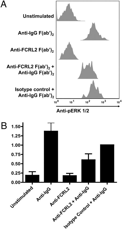 FcR-Like 2 Inhibition of B Cell Receptor-Mediated Activation of B Cells ...