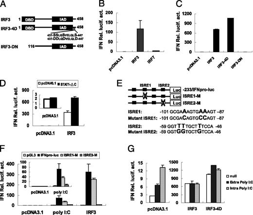 Characterization of Fish IRF3 as an IFN-Inducible Protein Reveals ...